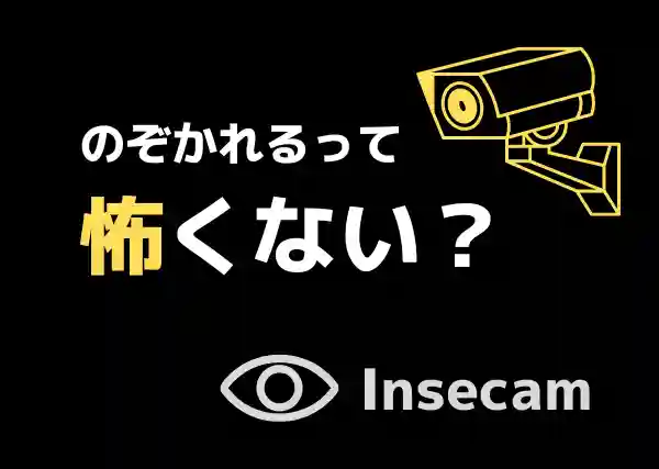 世界中の監視カメラを覗き見!?暇つぶしにオススメのInsecam