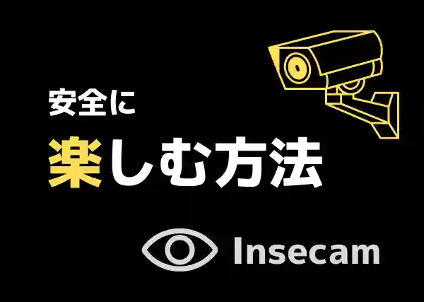 世界中の監視カメラを覗き見!?暇つぶしにオススメのInsecam