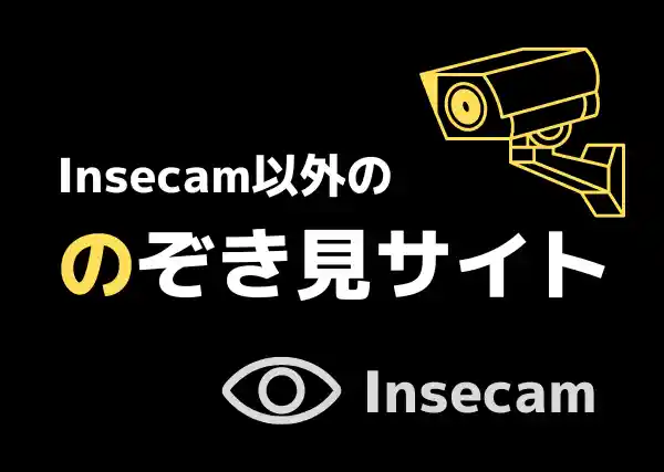 世界中の監視カメラを覗き見!?暇つぶしにオススメのInsecam